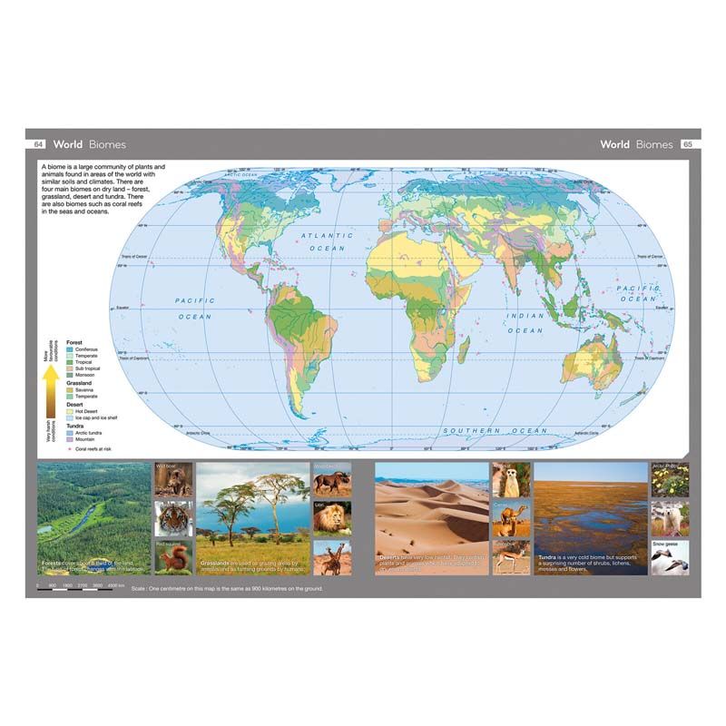 Collins Primary World Atlas KS2 | Educational Resources | Creative Activity